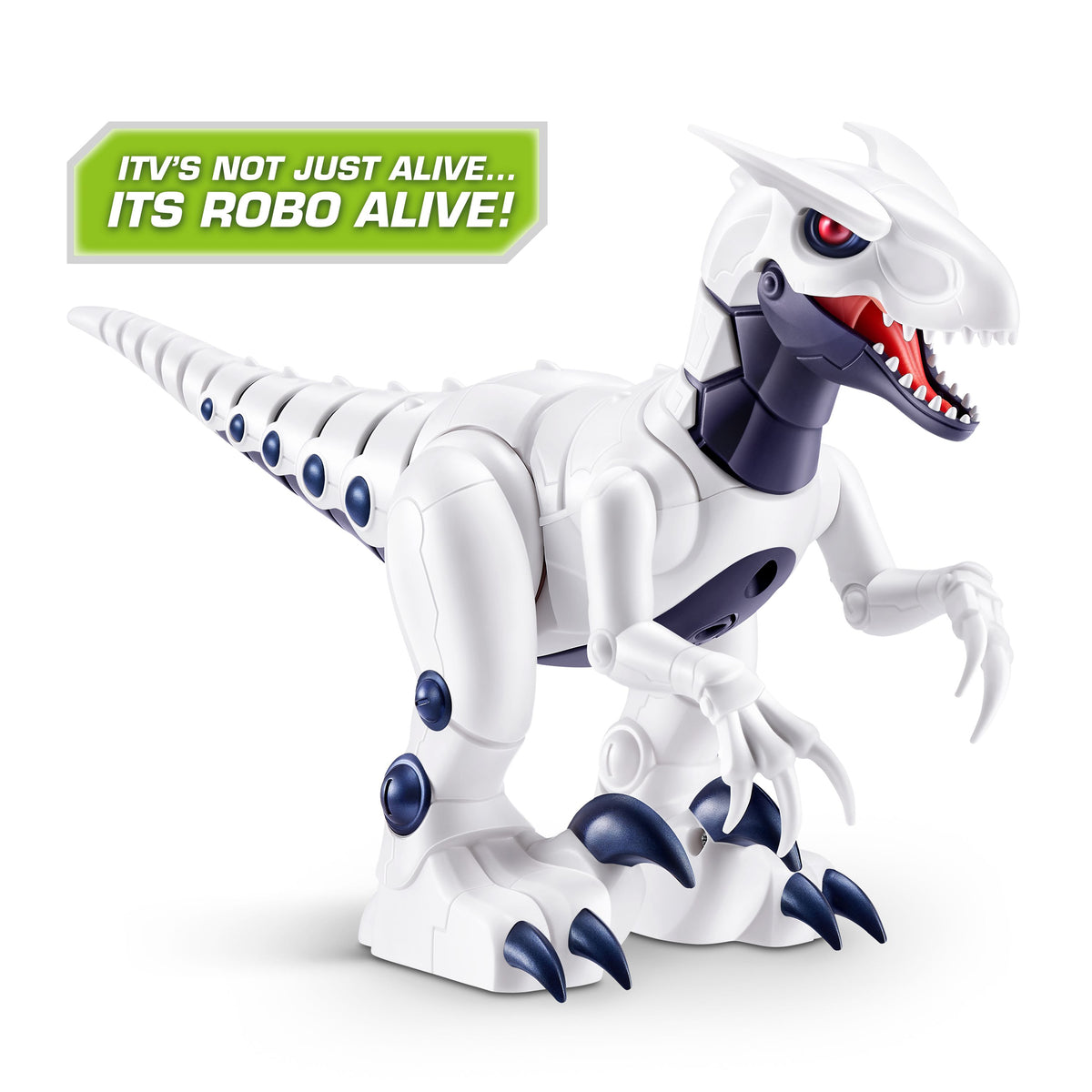 ZURU Robo Alive Robo Dino Raptor – Toyworld Australia
