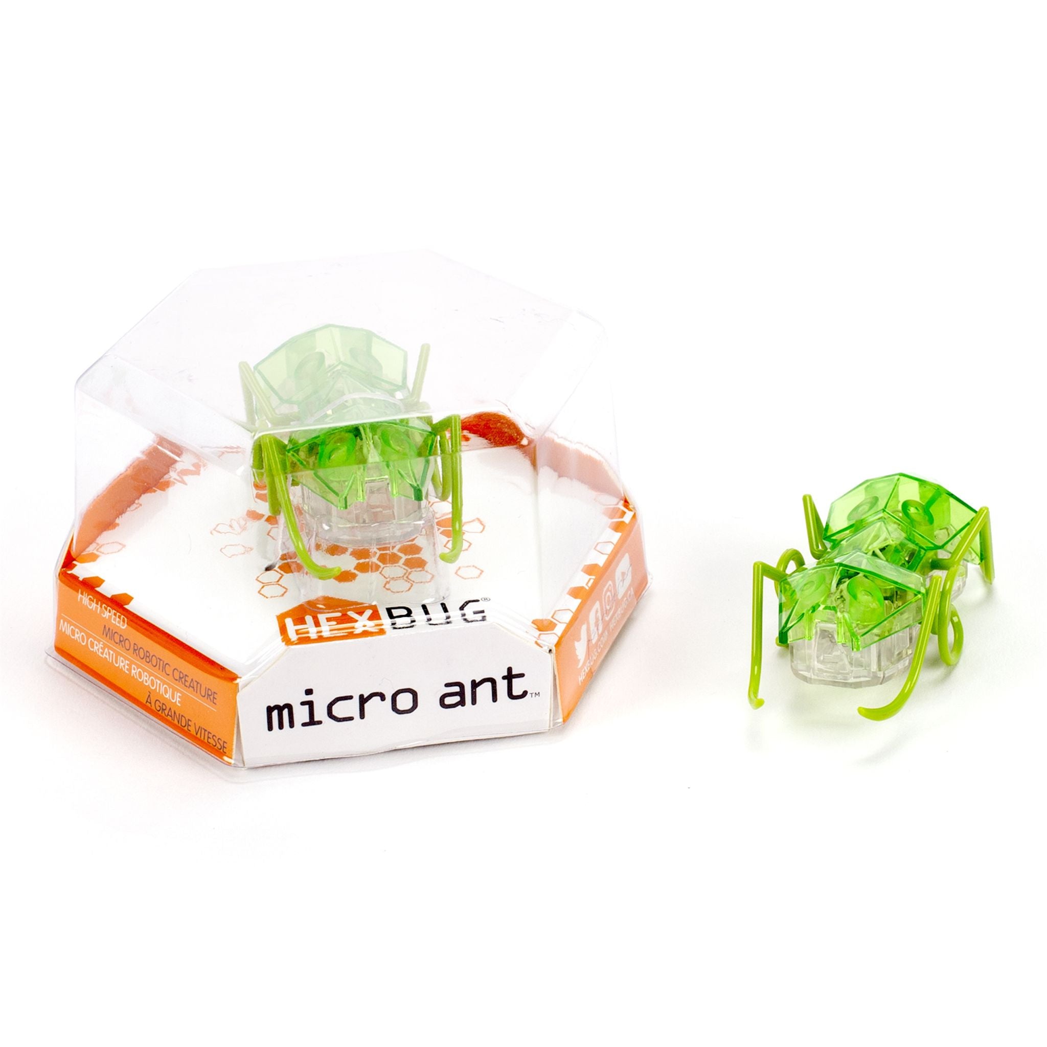 HEXBUG Micro Ant - Green – Toyworld Australia