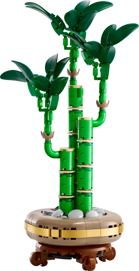 LEGO 10344 Botanicals Lucky Bamboo – Toyworld Australia