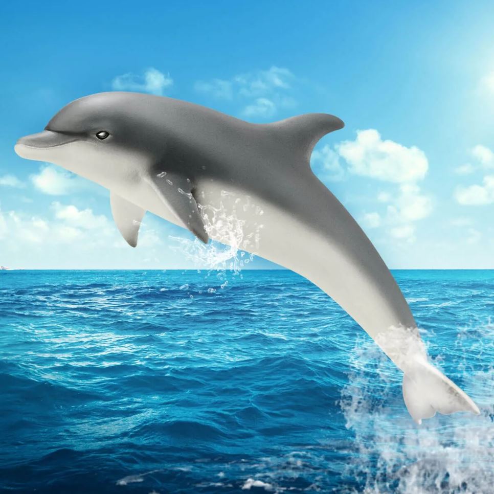 Schleich Dolphin | Toys In-Store & Online | Toyworld – Toyworld Australia