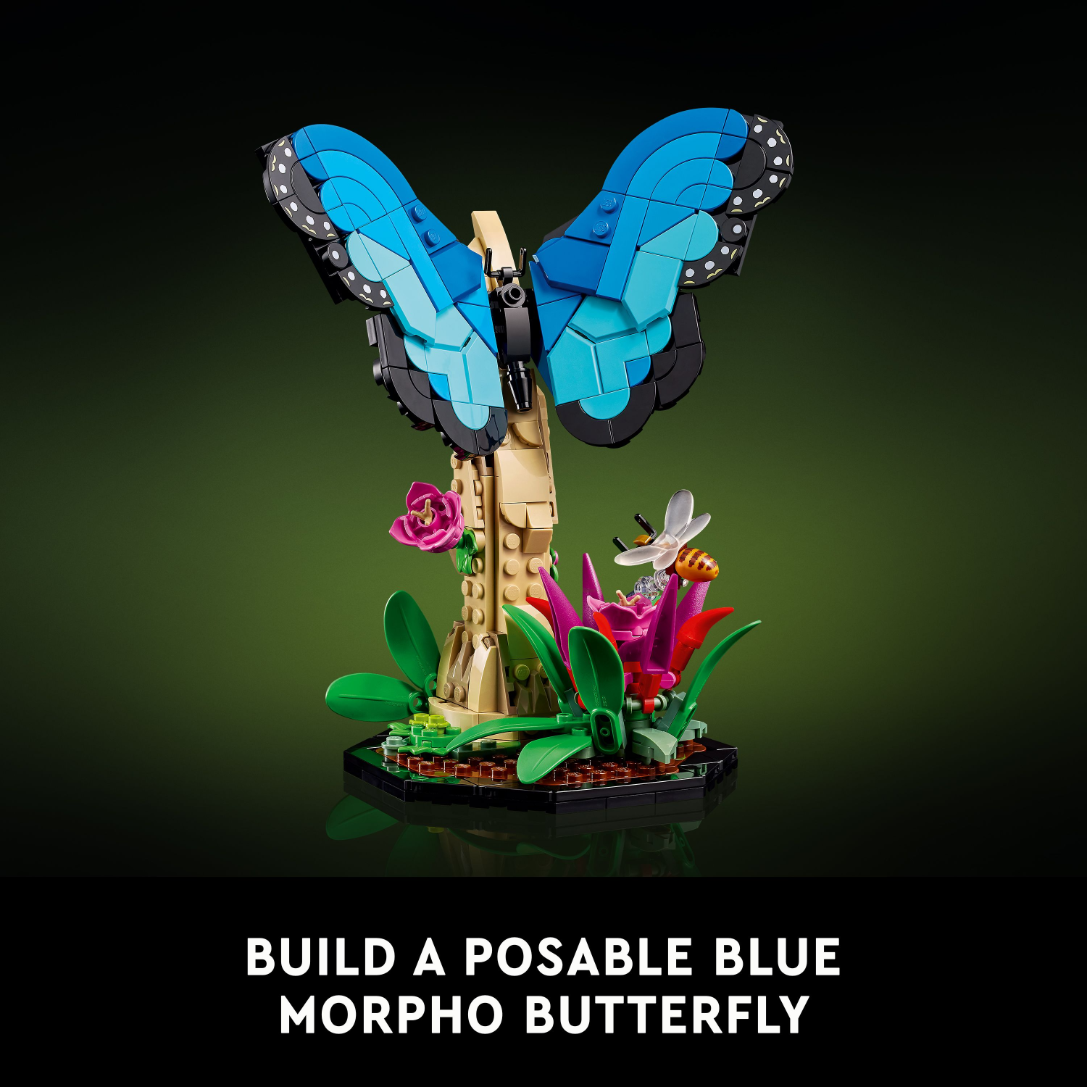 LEGO 21342 Ideas The Insect Collection – Toyworld Australia