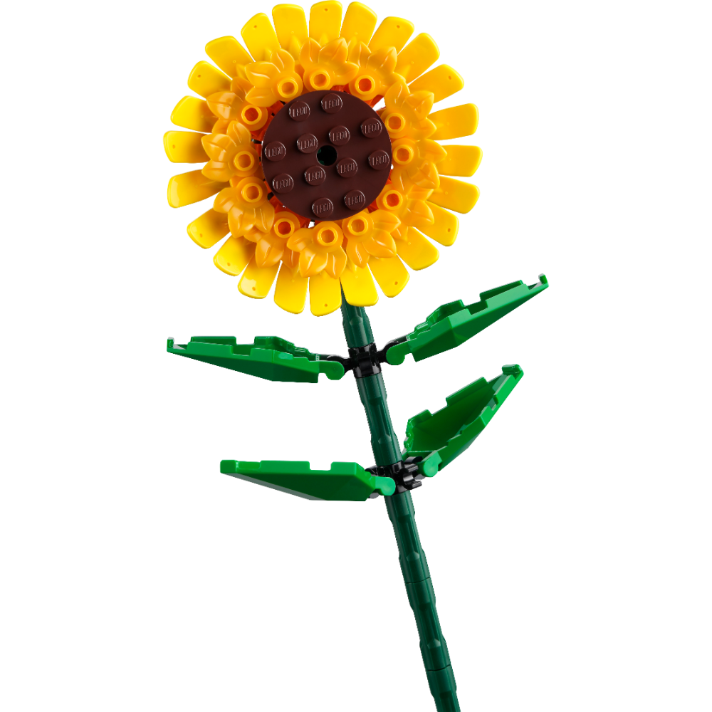 LEGO 40524 Icons Sunflowers – Toyworld Australia
