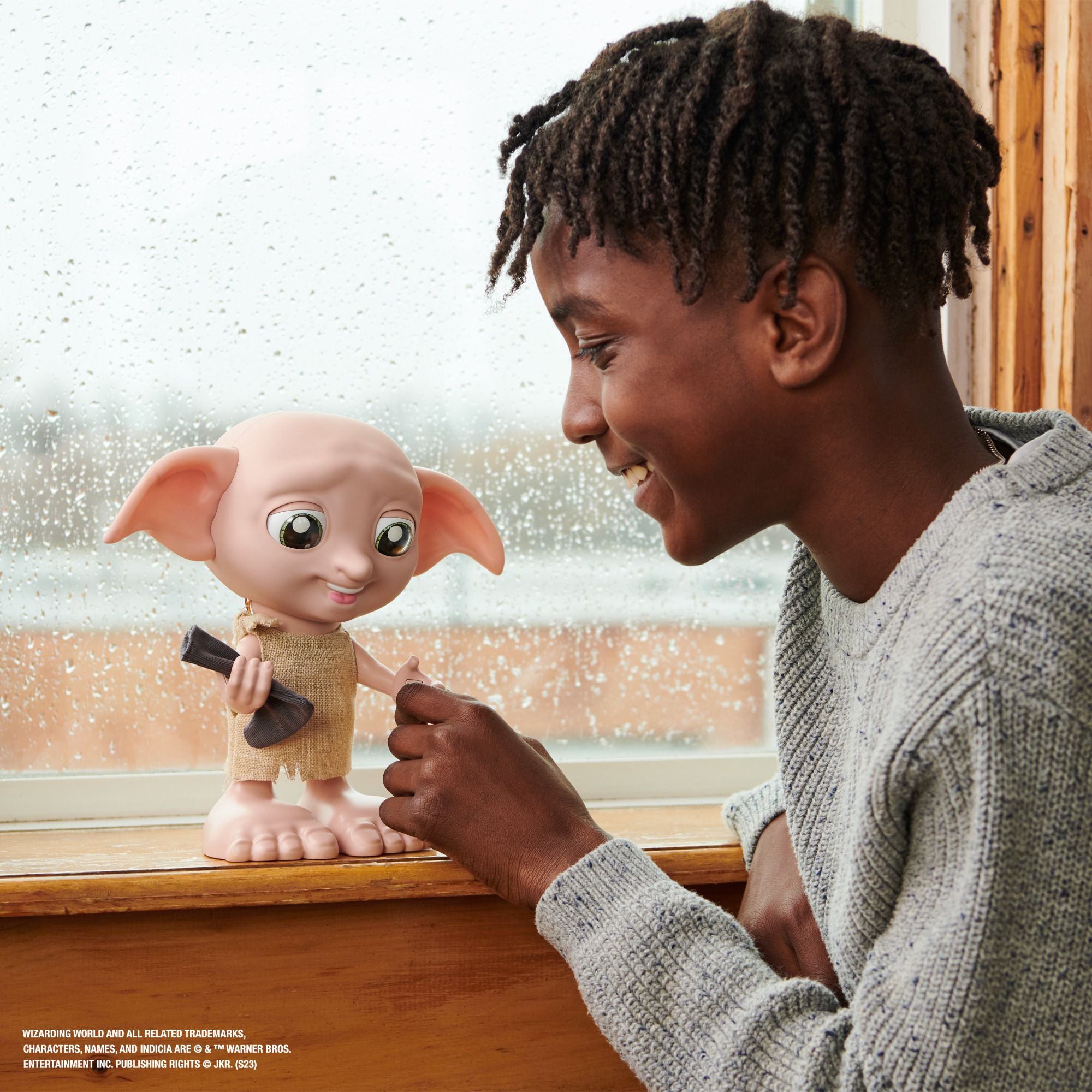 Wizarding World Harry Potter Interactive Dobby – Toyworld Australia
