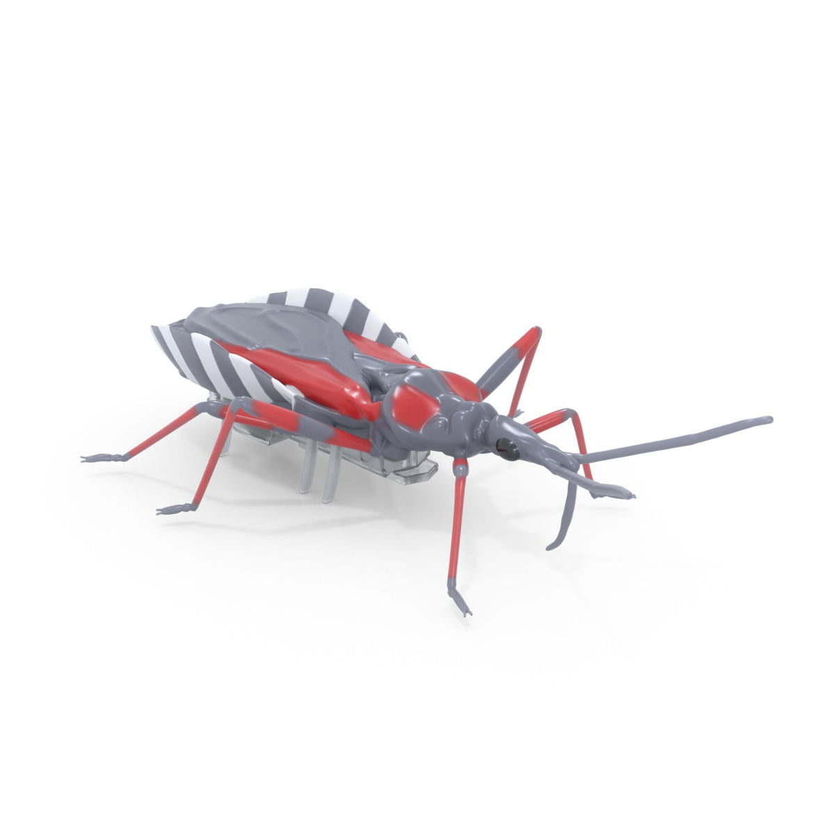 HEXBUG Nano Real Bugs - Assasin Bug – Toyworld Australia