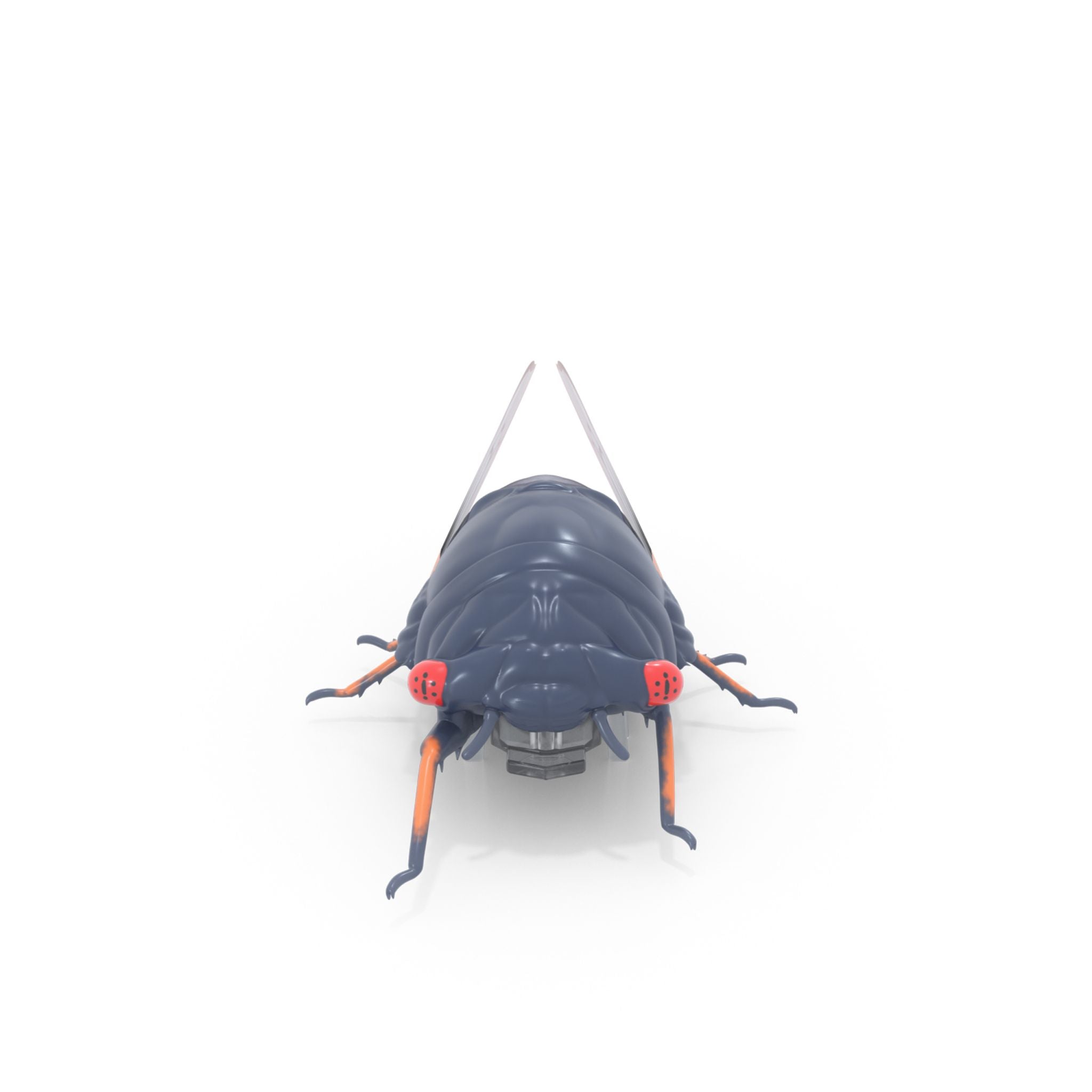 HEXBUG Nano Real Bugs - Cicada – Toyworld Australia