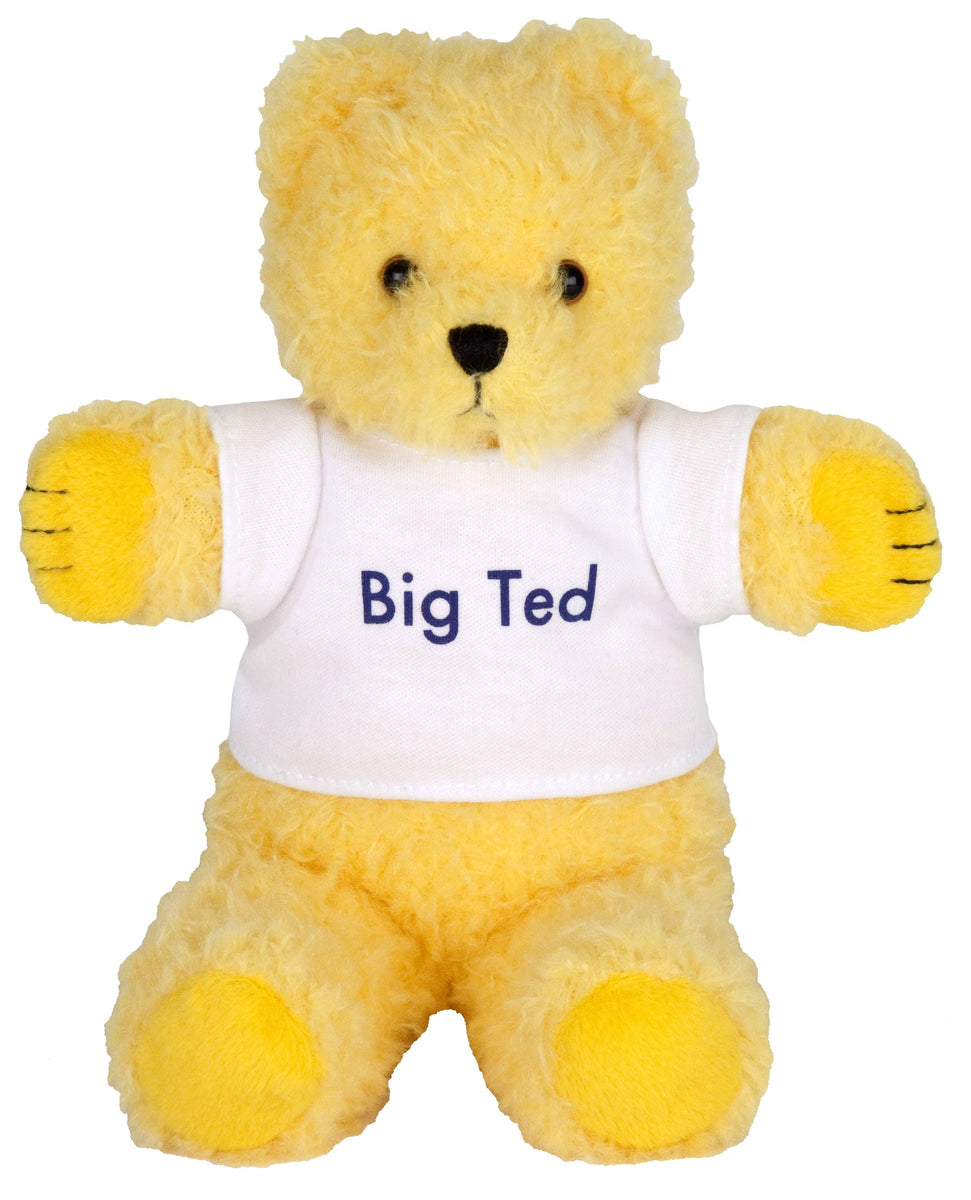 Playschool Big Ted Plush 18cm – Toyworld Australia