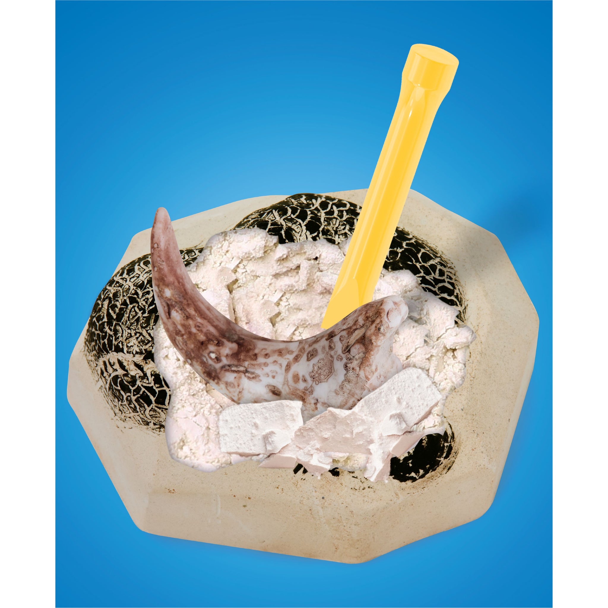 Discovery Mindblown Dino Fossils Unearthed Excavation Kit – Toyworld ...
