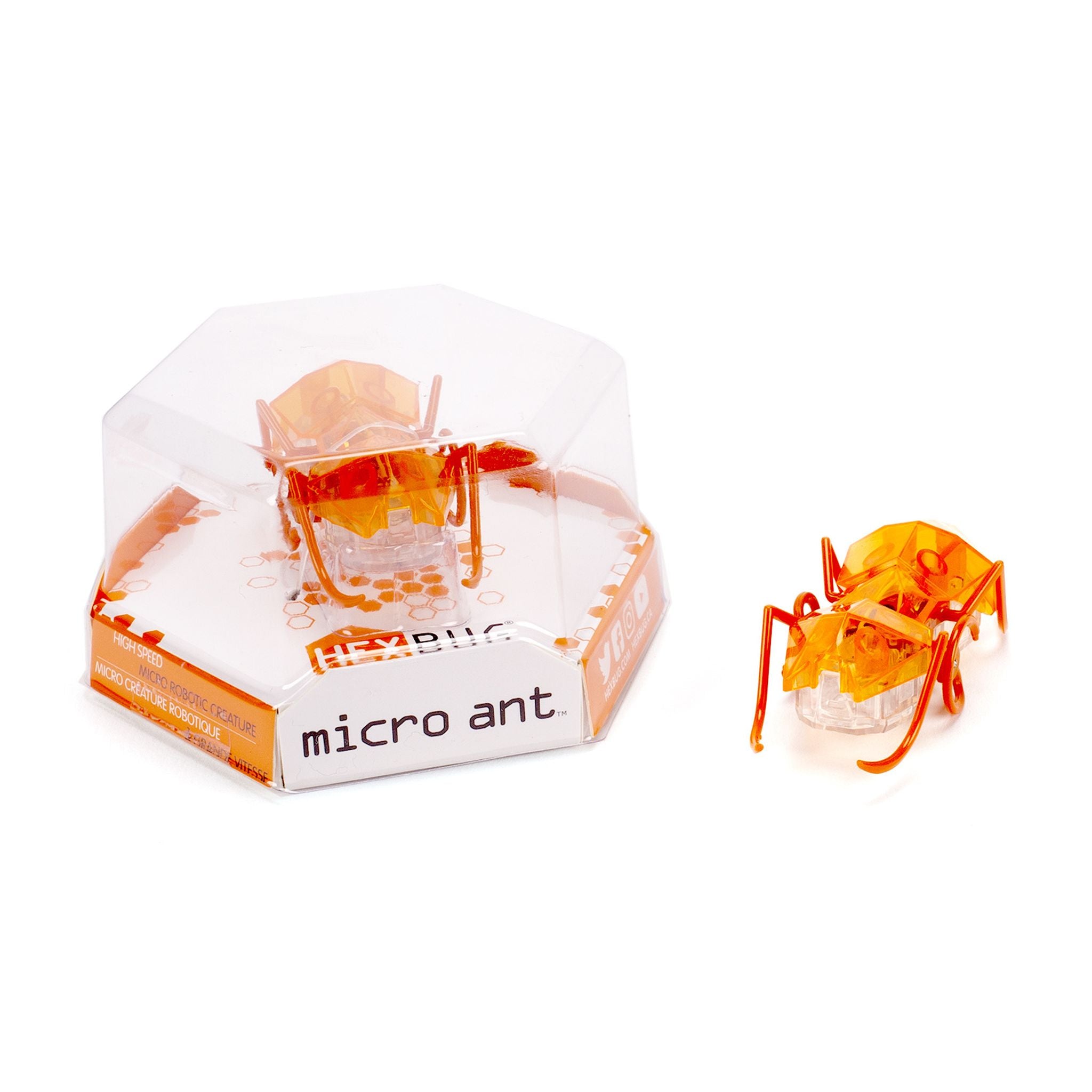 HEXBUG Micro Ant - Orange – Toyworld Australia