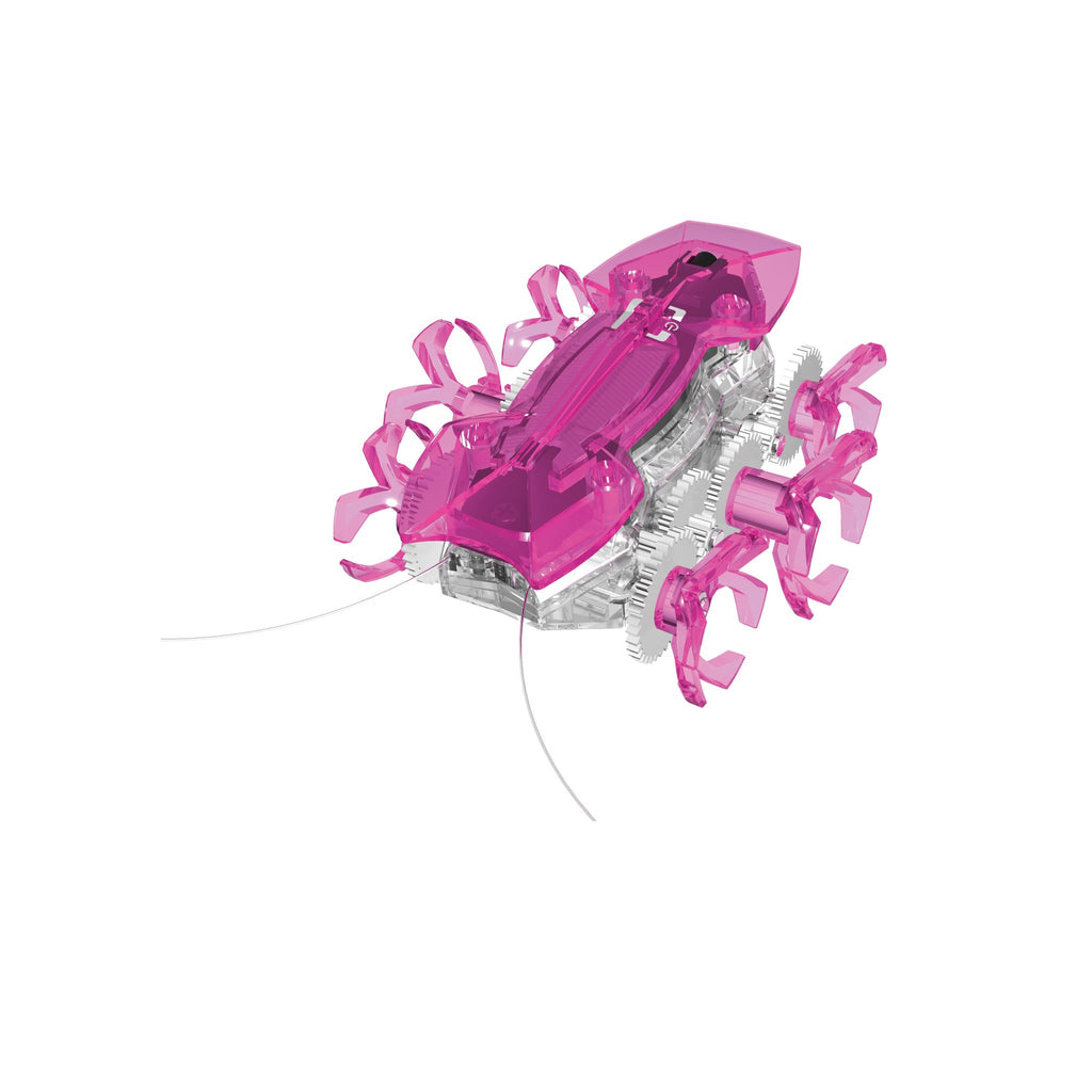 HEXBUG Nano Micro Robotic Creatures Fire Ant - Magenta – Toyworld Australia