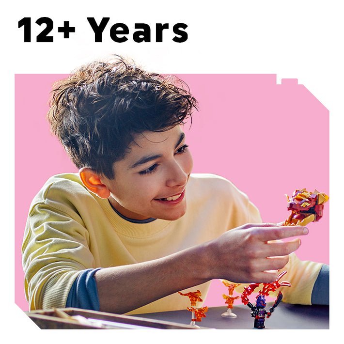LEGO® Adults – Toyworld Australia