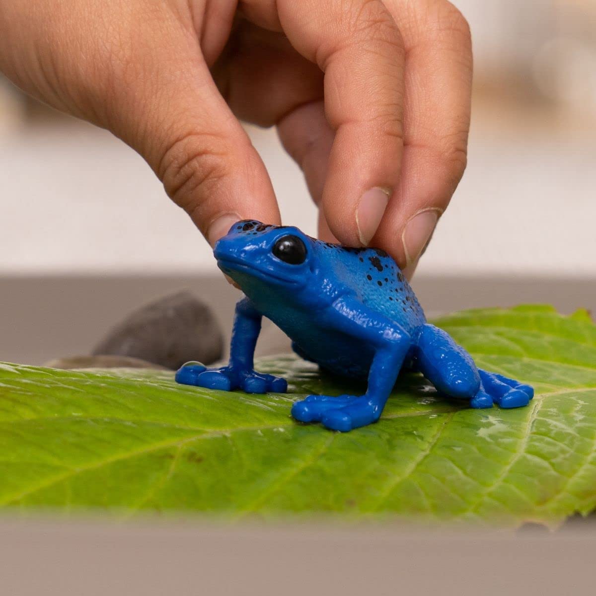 Schleich Blue Poison Dart Frog – Toyworld Australia