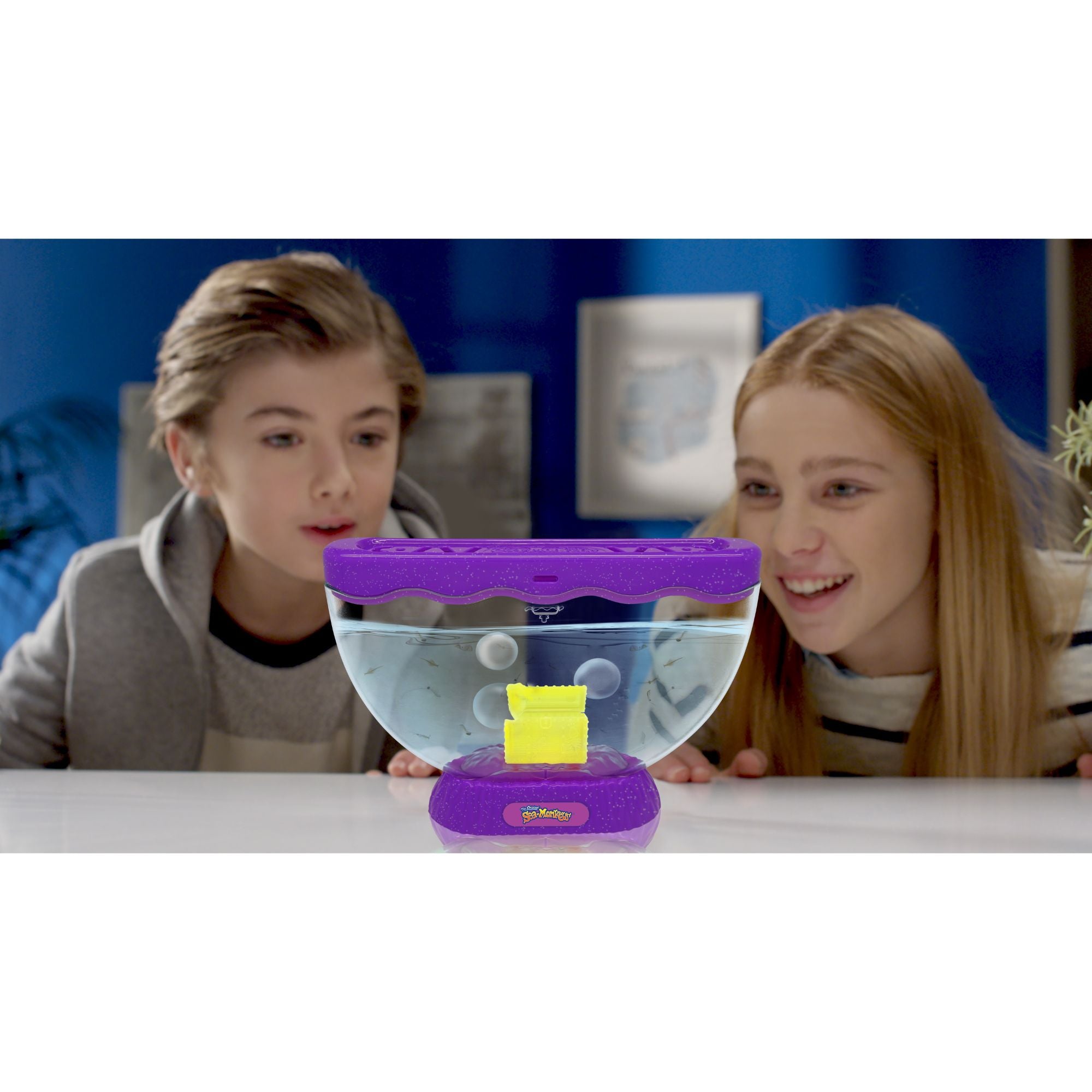 Sea-Monkeys Ocean Treasure Assorted Styles – Toyworld Australia