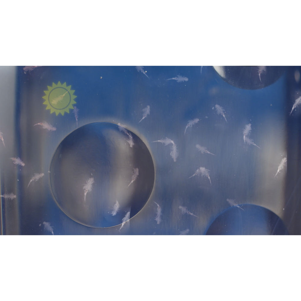 The Original Sea Monkeys Ocean Zoo | Toyworld Australia