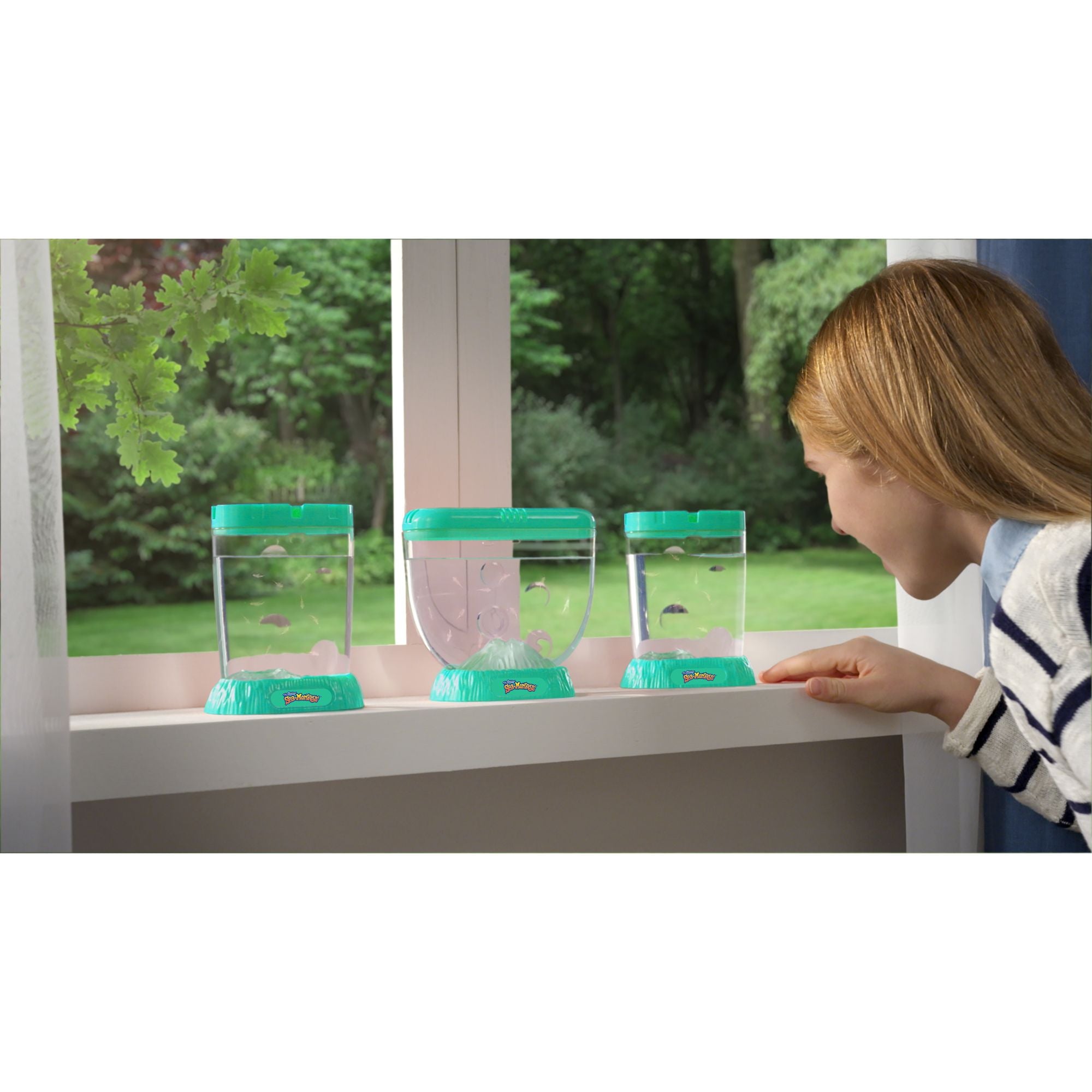 Sea-Monkeys Ocean Zoo Assorted Styles – Toyworld Australia