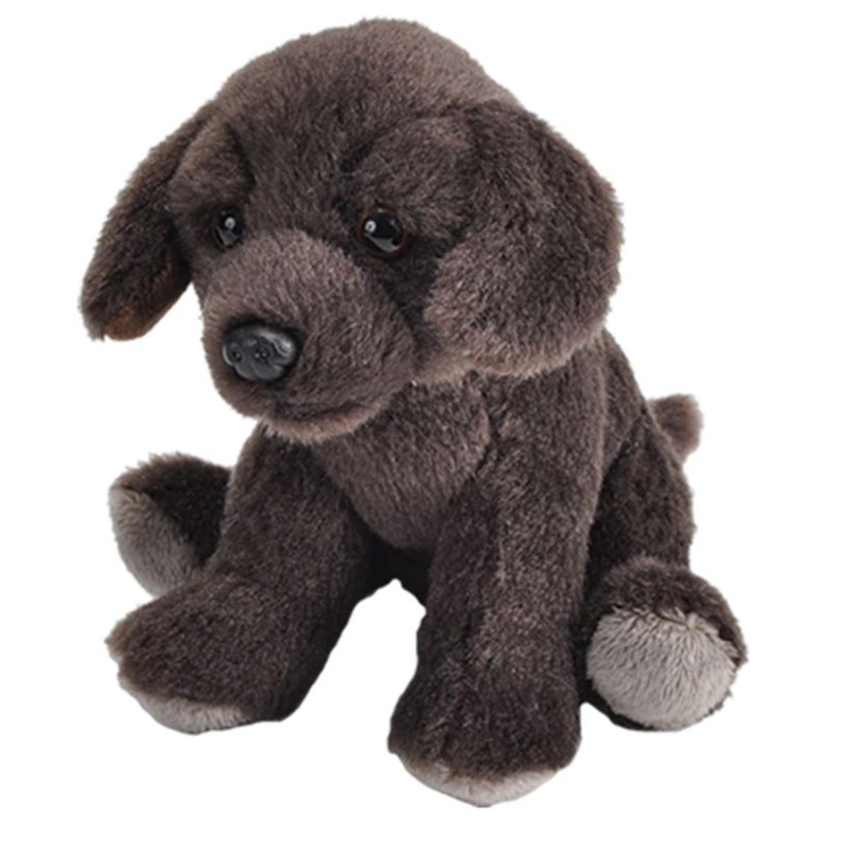 Wild Republic Pocketkins Dog Chocolate Labrador 5 Inch – Toyworld Australia